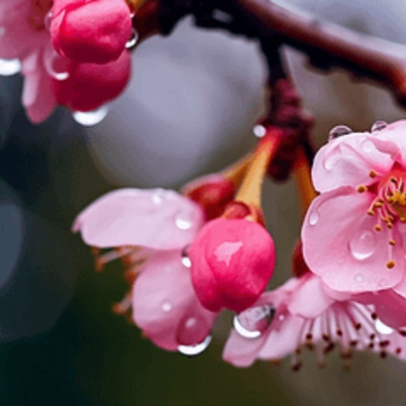 Puett's Closet (@puett_chadburn) | Poshmark